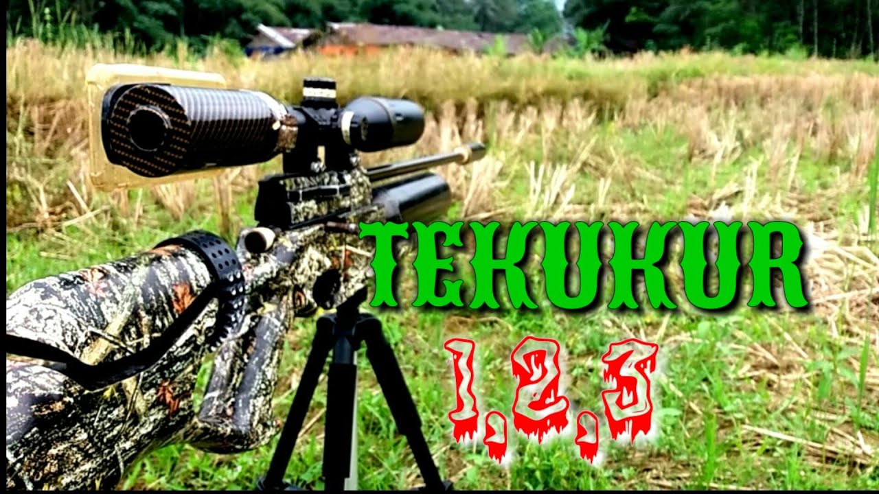 Berburu Tekukr 3x Shoot Ko... - YouTube