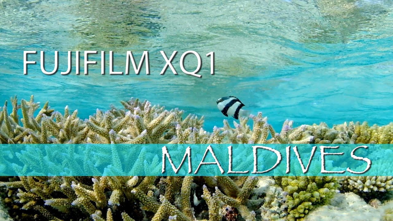 Underwater Movie by FUJIFILM XQ1 : MALDIVES