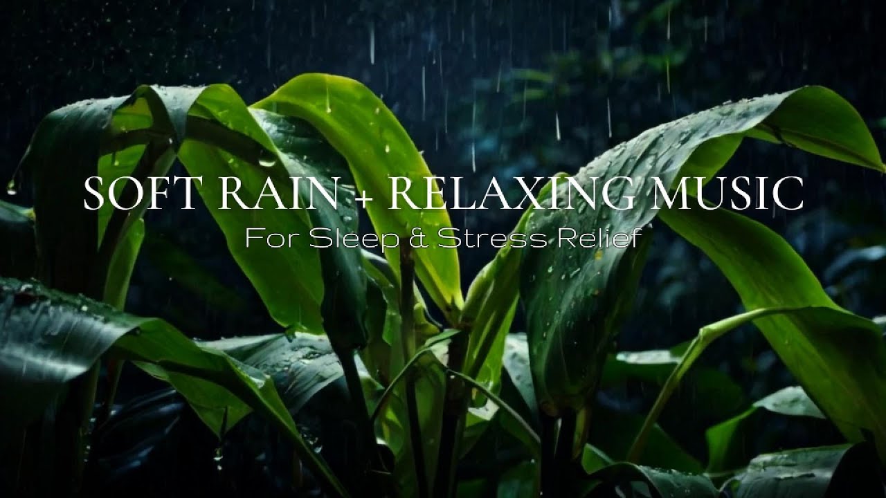 24/7 Sleeping Music & Rain Sounds 🌧️ Deep Sleep Music, Soft Rain ...