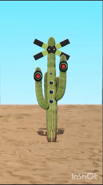 RAILROAD Crossing New like cactus and Desert video fROm inShot ep 46 ...