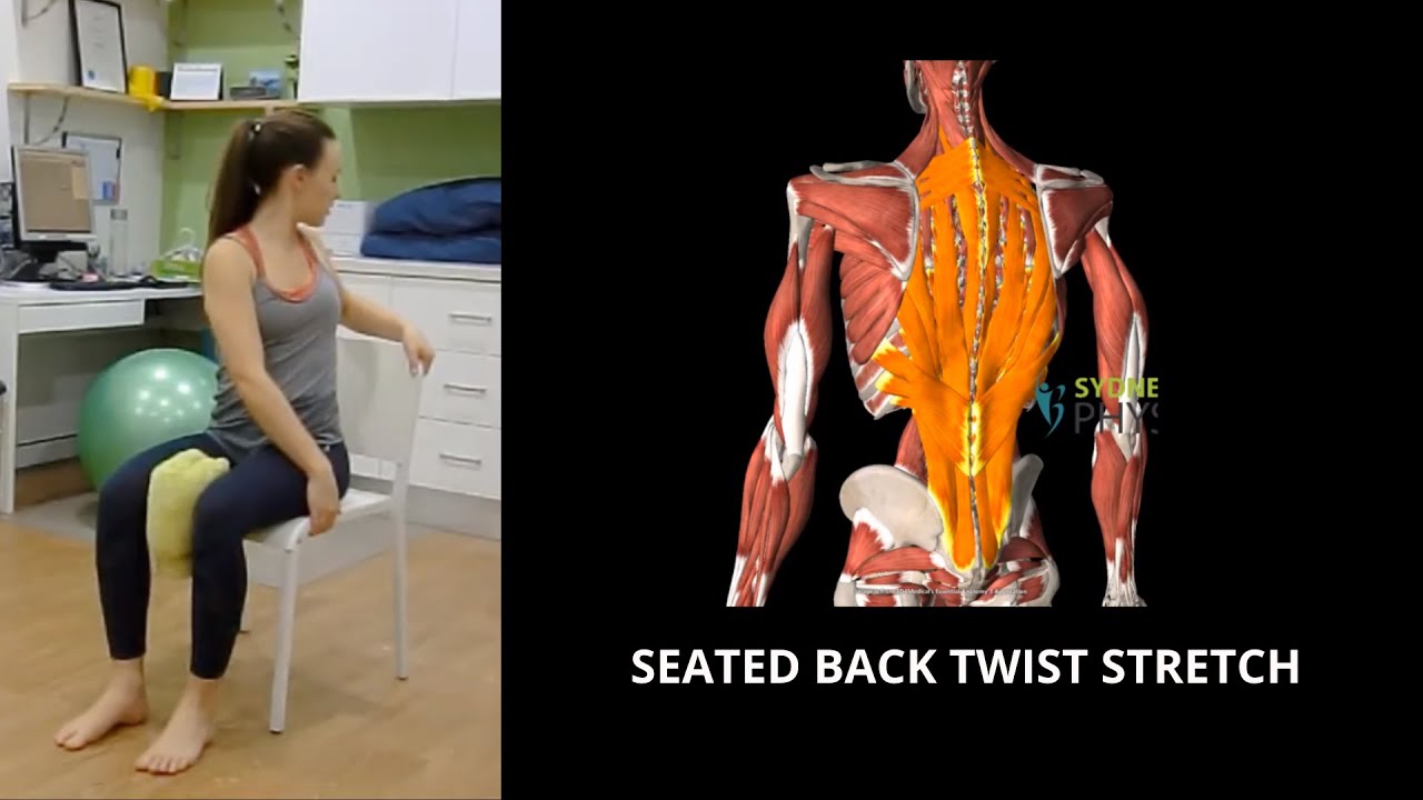 Seated back twist stretch - YouTube