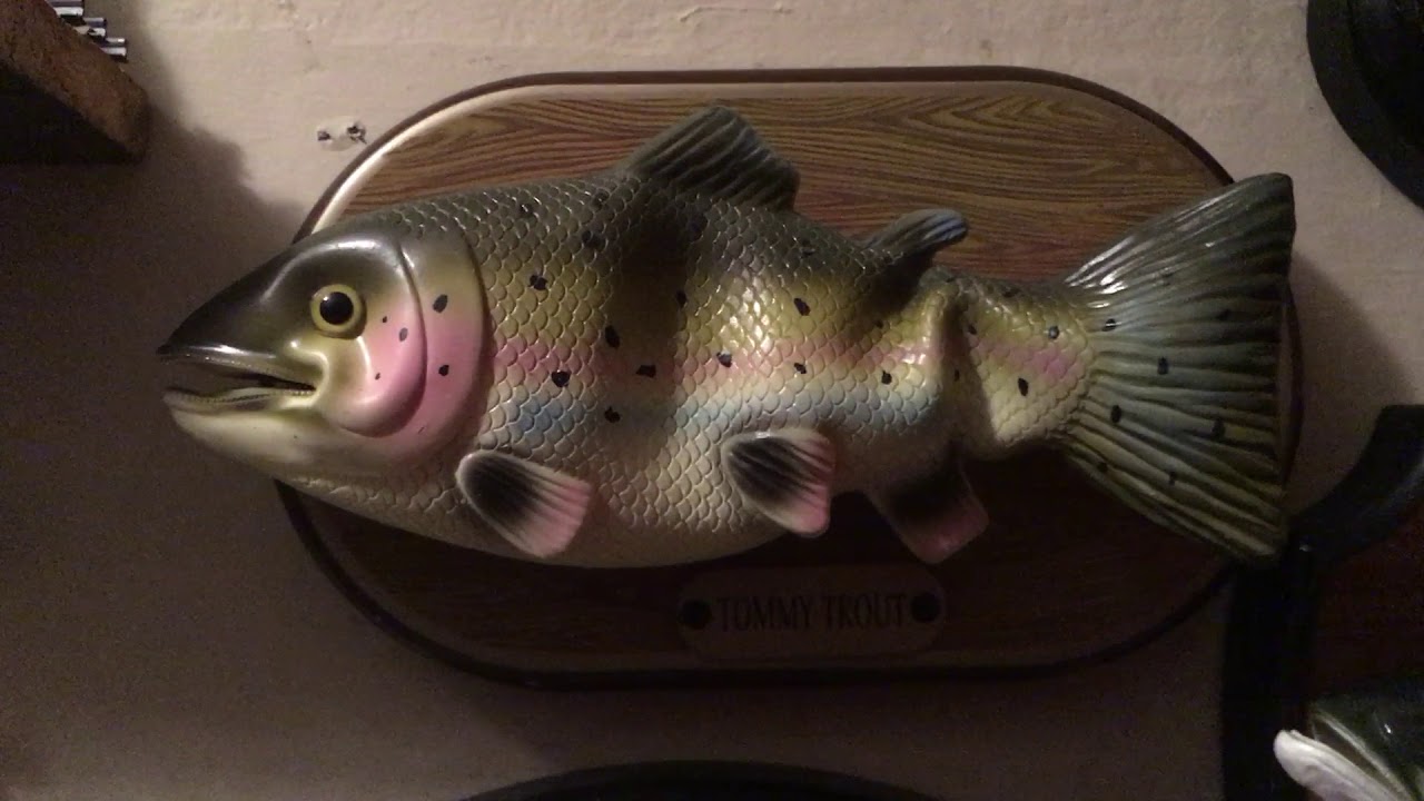 Rare Tommy Trout the singing fish - YouTube