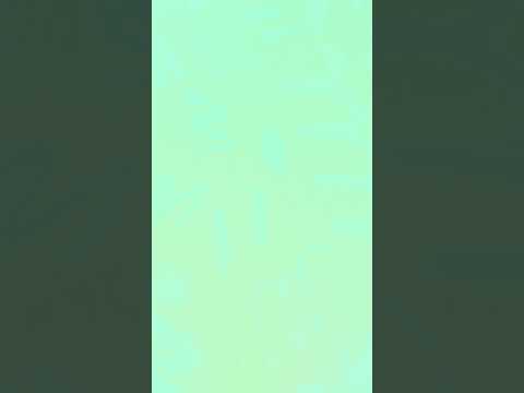 2 de septiembre de 2024