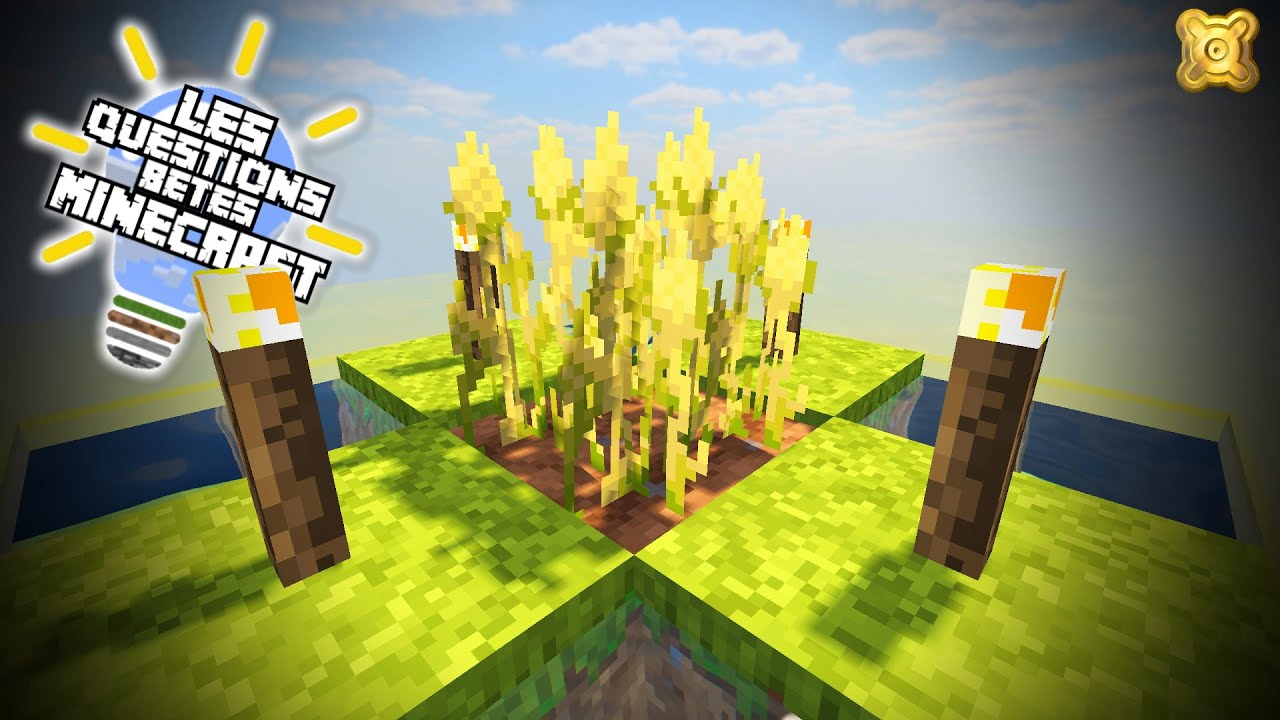 Les Plantations ont-elles Vraiment Besoin d'Eau ou de Lumière ? - Les ...