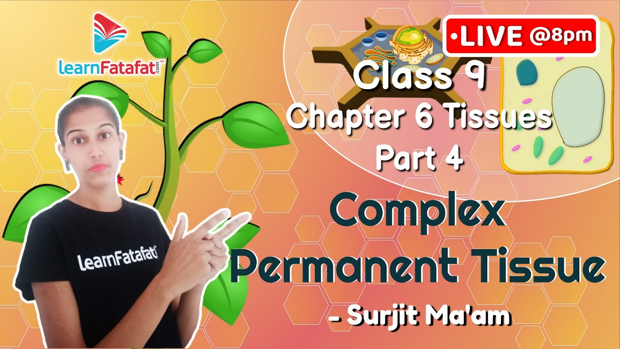 Class 9 Tissues Part 4: What is Complex Permanent Tissue? - Surjit ...