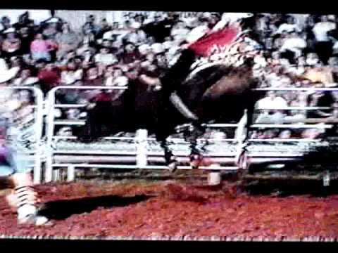 Roy Dinges bullriding - YouTube
