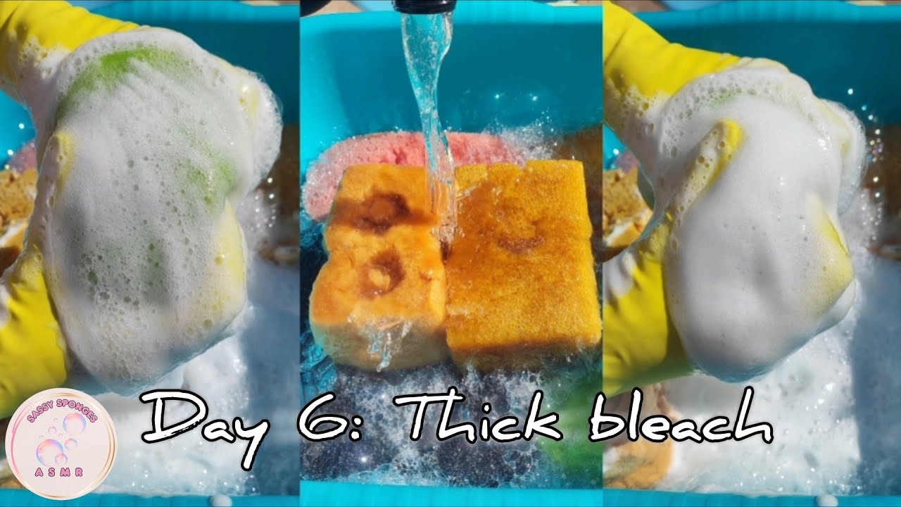 Day 6 - 5 Litre Thick bleach🤍🫧 Sudsy sponge rinsing☁️☁️ - YouTube