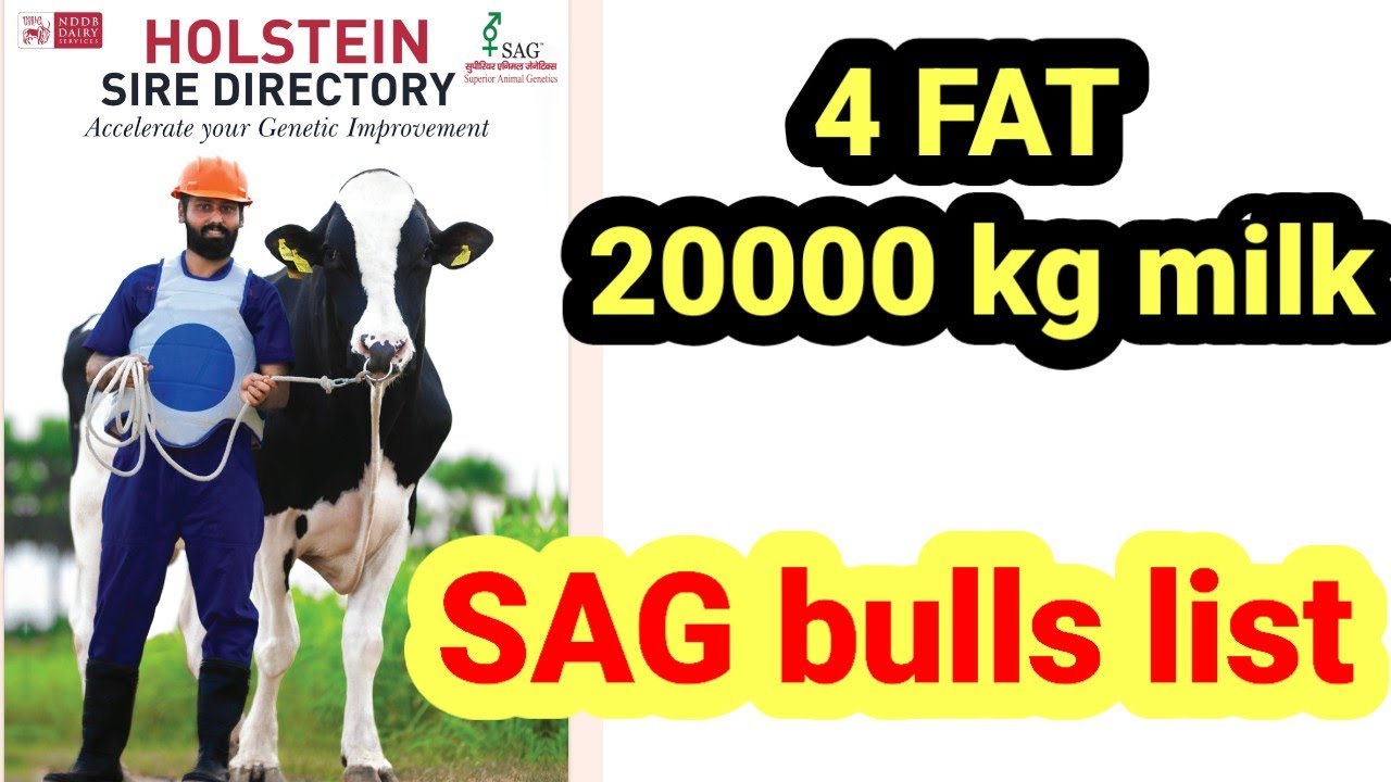 SAG best HF bulls list - YouTube