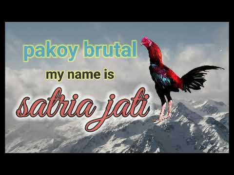 Pakoy brutal - YouTube