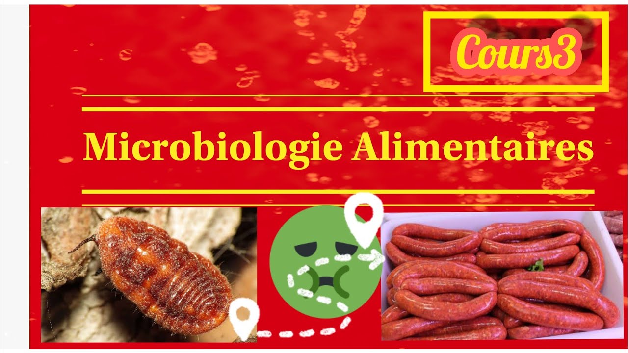 🤮إستعمال الحشرات كملونات غذائية 🤮 🍁 Rouge de cochenilles - YouTube