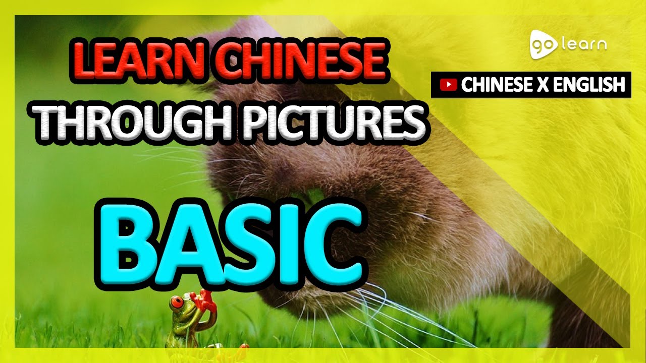 Learn Chinese Through Pictures |Chinese Vocabulary Basic | Golearn ...
