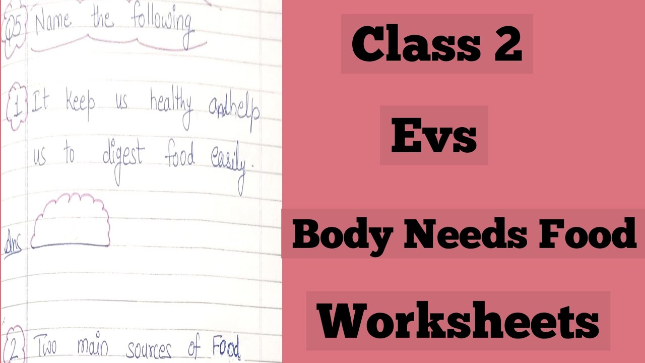 Class 2 Evs Worksheets || Class 2 Body Needs Food Worksheets || - YouTube