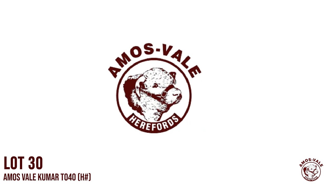 LOT 30 AMOS VALE KUMAR T040 H# - YouTube