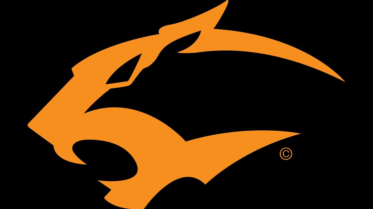 Neosho Athletics Highlight Video 2019-2020 - YouTube