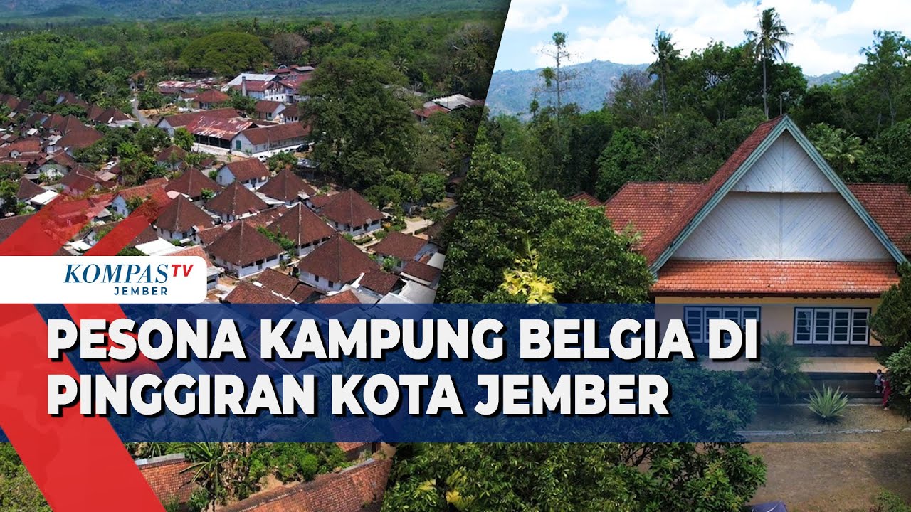 Pesona Kampung Belgia di Jember: Jejak Kolonial yang Memukau - YouTube