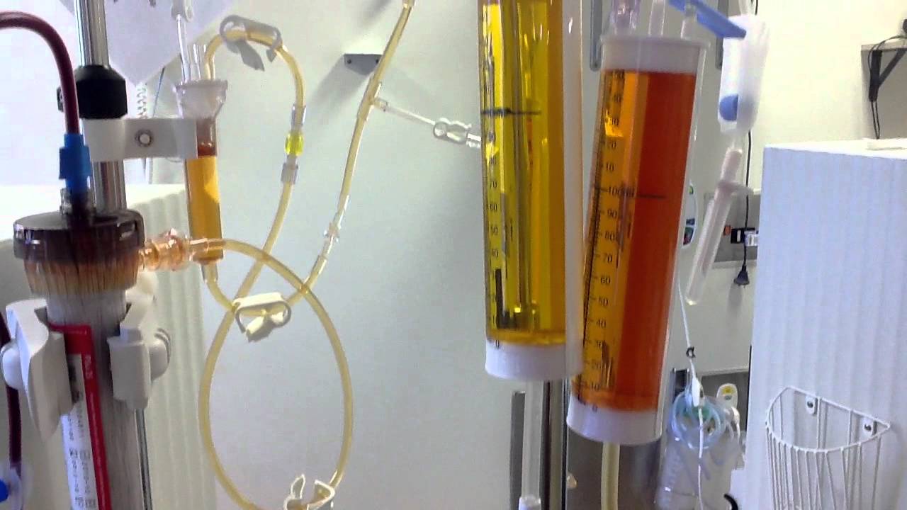 IMG_0418[1] - YouTube