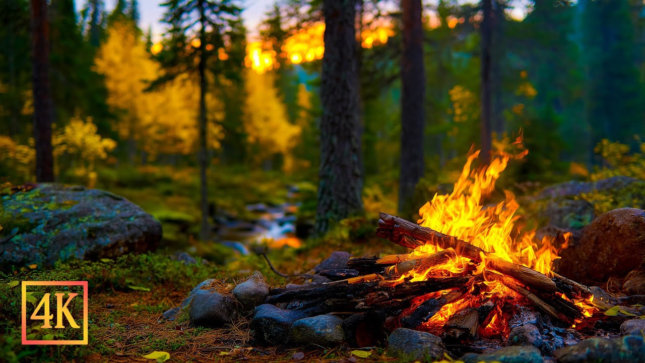 Early Autumn Morning by the Campfire 🌲🔥 Gentle Stream & Forest Ambience ...