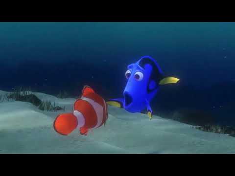 Pursuing Nemo Marlin meets Dory (Finding Nemo 2003)