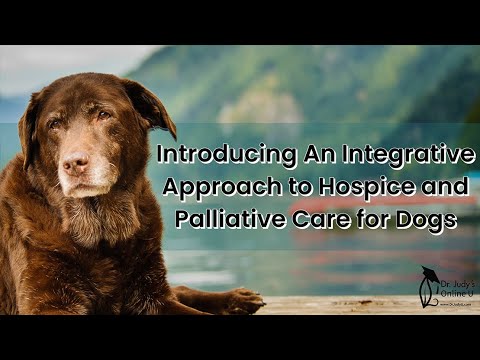 Introducing An Integrative Approach to Hospice and Palliative Care for ...