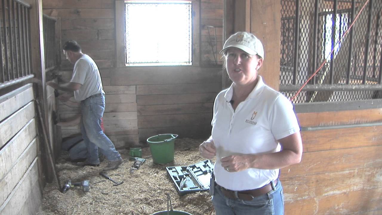 Horse Facilities: Barn Maintenance - YouTube