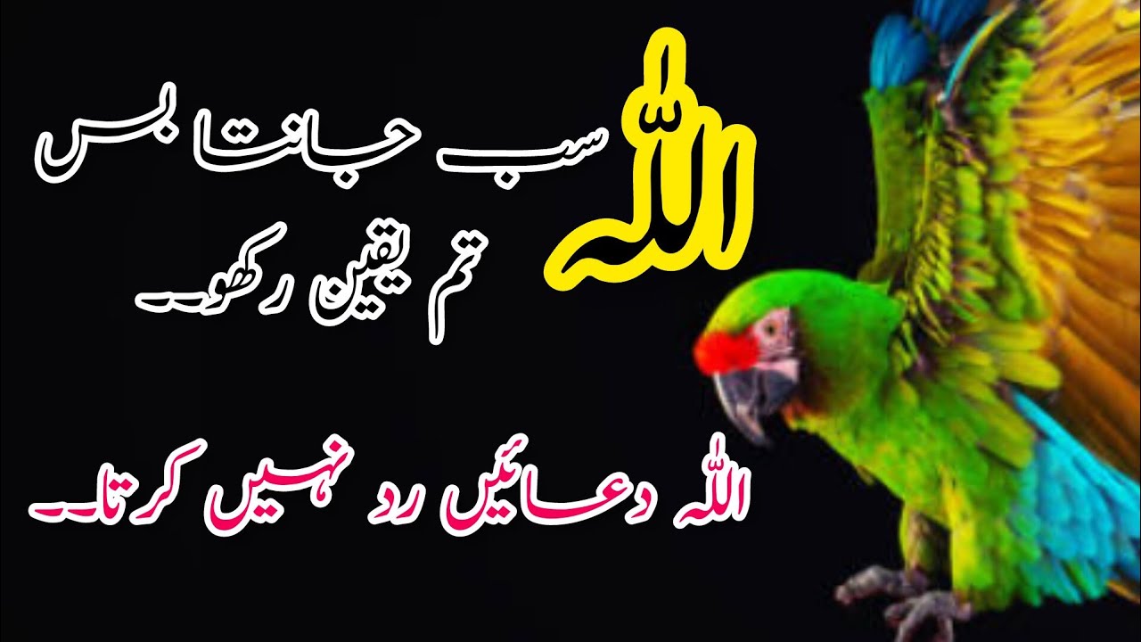 Allah Sb Janta Hai | Allah Pr Yaqen Ka Safar | Allah Duain Rad Nhi Krta ...