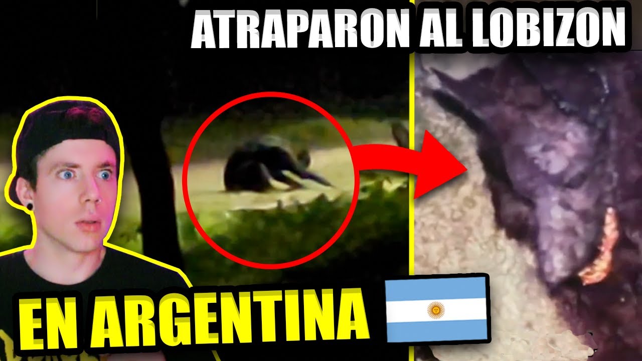 ENCONTRARON al LOBIZON en ARGENTINA - SANTA FE (Está TODO GRABADO ...