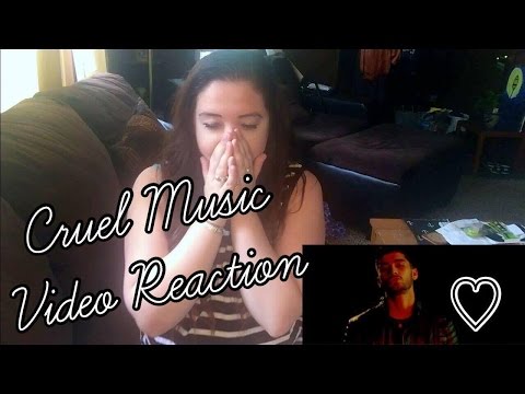CRUEL - SNAKEHIPS FT. ZAYN MALIK - OFFICIAL MUSIC VIDEO - (REACTION)