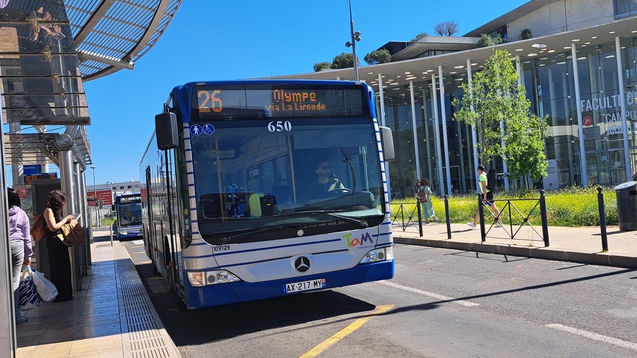 BUS TaM [Mercedes Benz Citaro Faceflit n°650] Ligne 26 - Montferrier ...