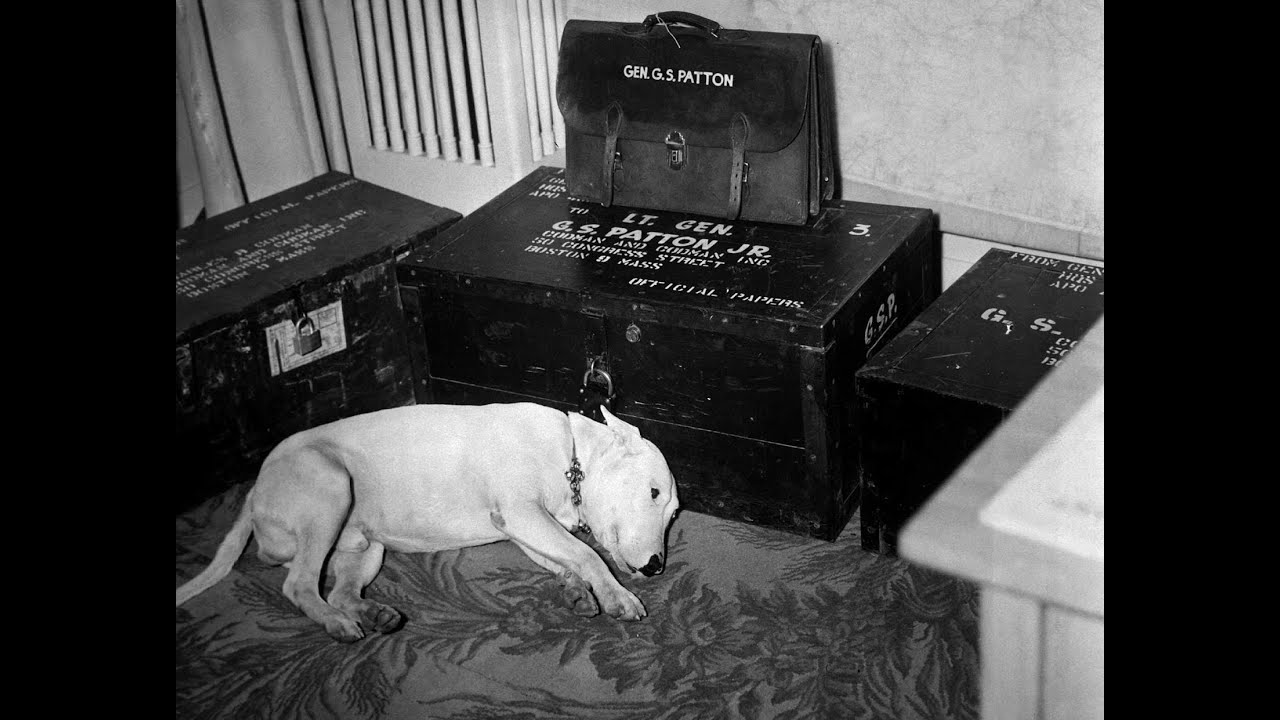 The Story of Patton's Dog Reveal Heartbreaking Story | Rare Historical ...