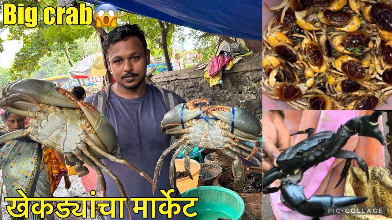 खेकडा बाजार | अनोखे अनोखे किस्म के खेकडे | Crab matka | Kalyan fish ...