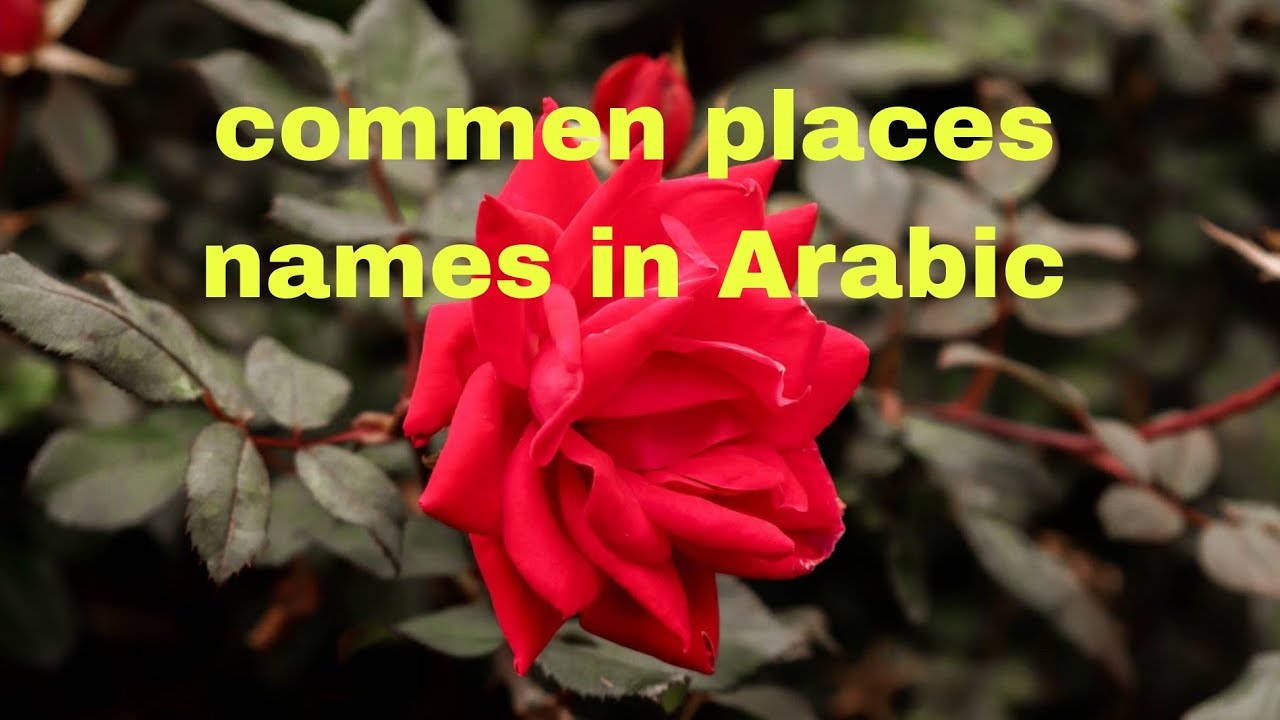 Commen places names in Arabic./Words from golden script - YouTube