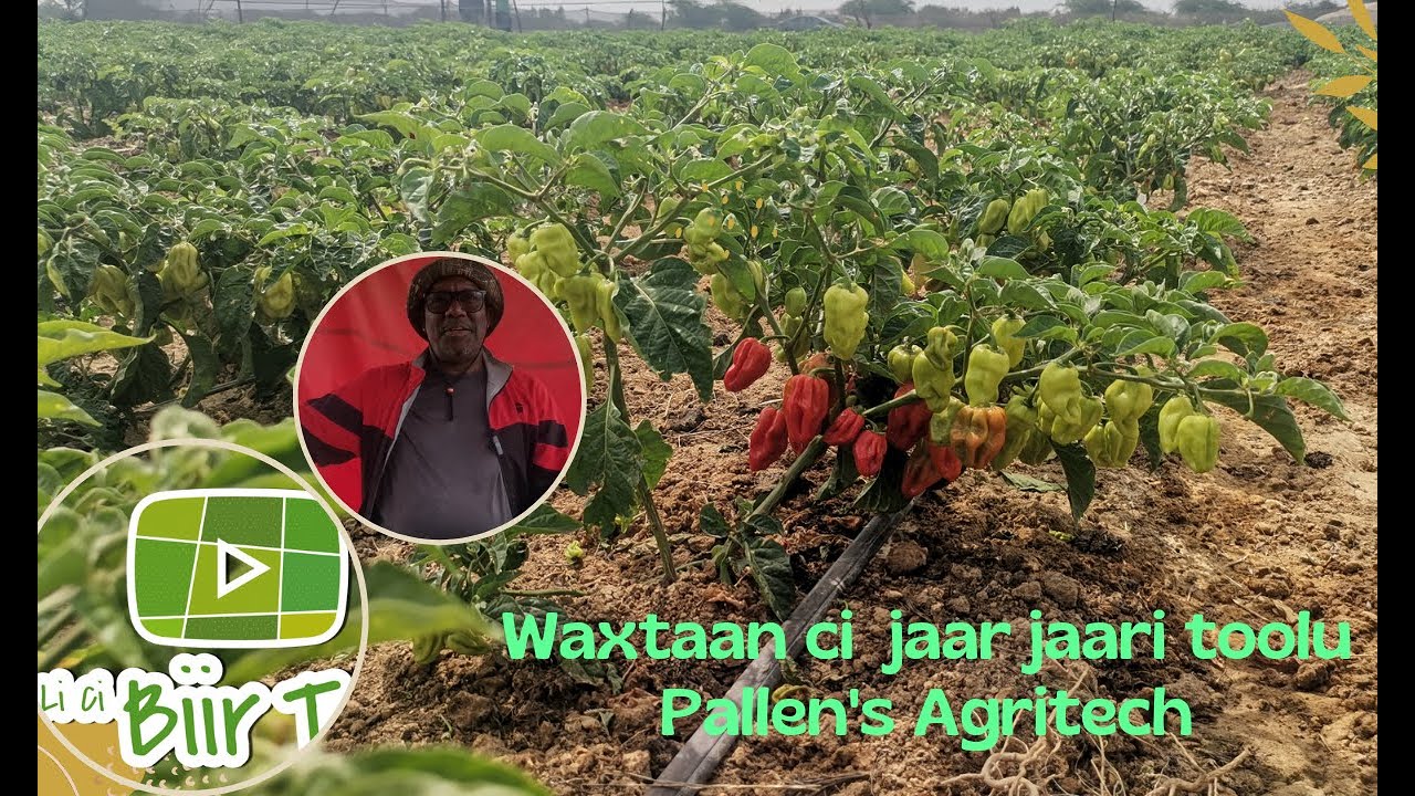 LCBT visite Pallen's Agritech - YouTube