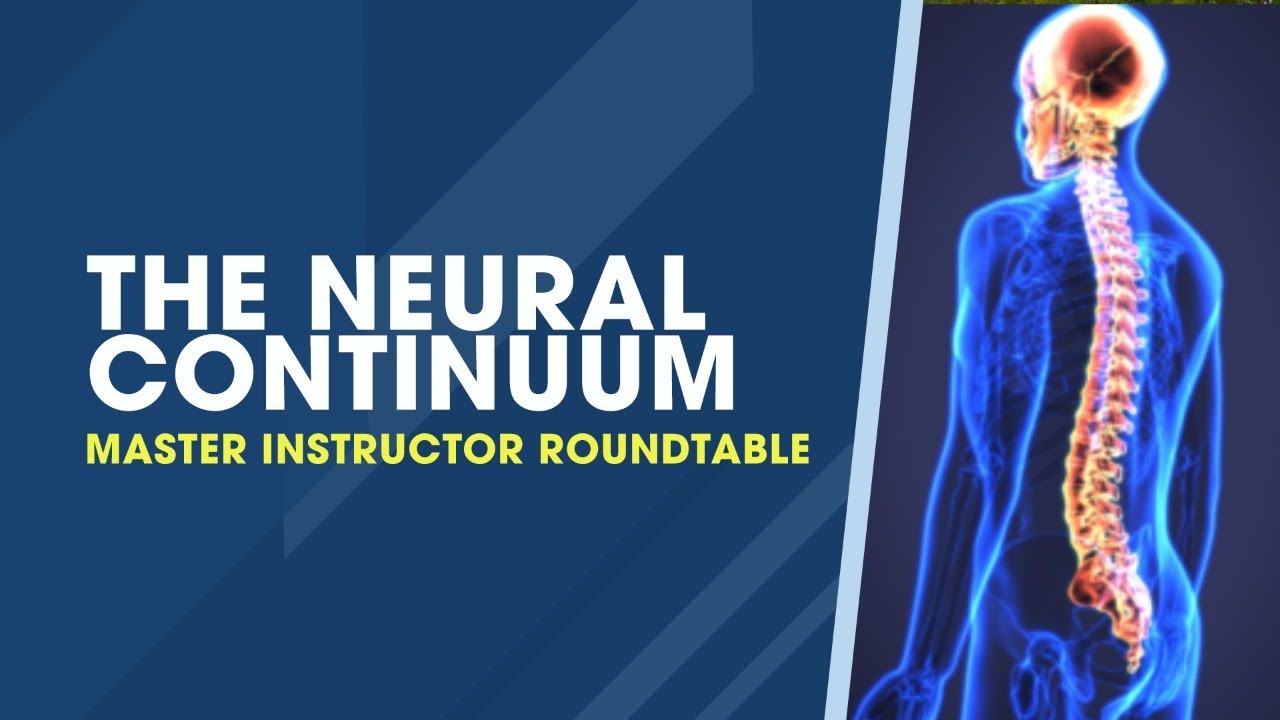 Discussing the Neural Continuum - YouTube