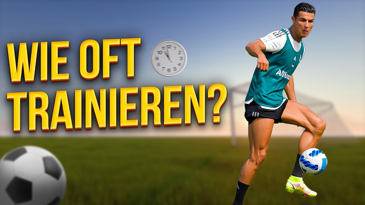Wie Oft Werden Hndinnen Lufig