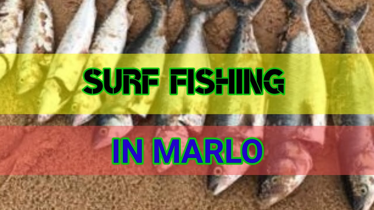 SURF FISHING IN MARLO - YouTube
