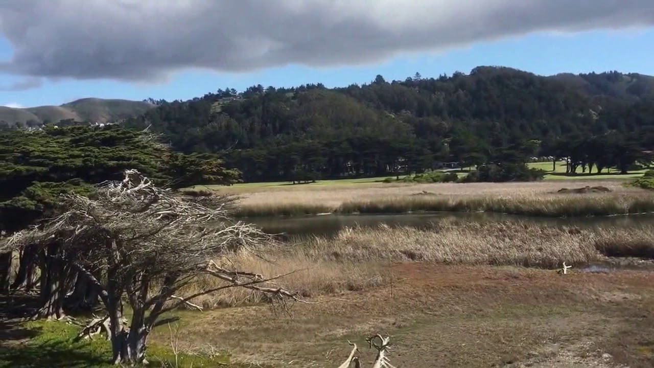 Sharp Park Golf Course, Pacifica - YouTube