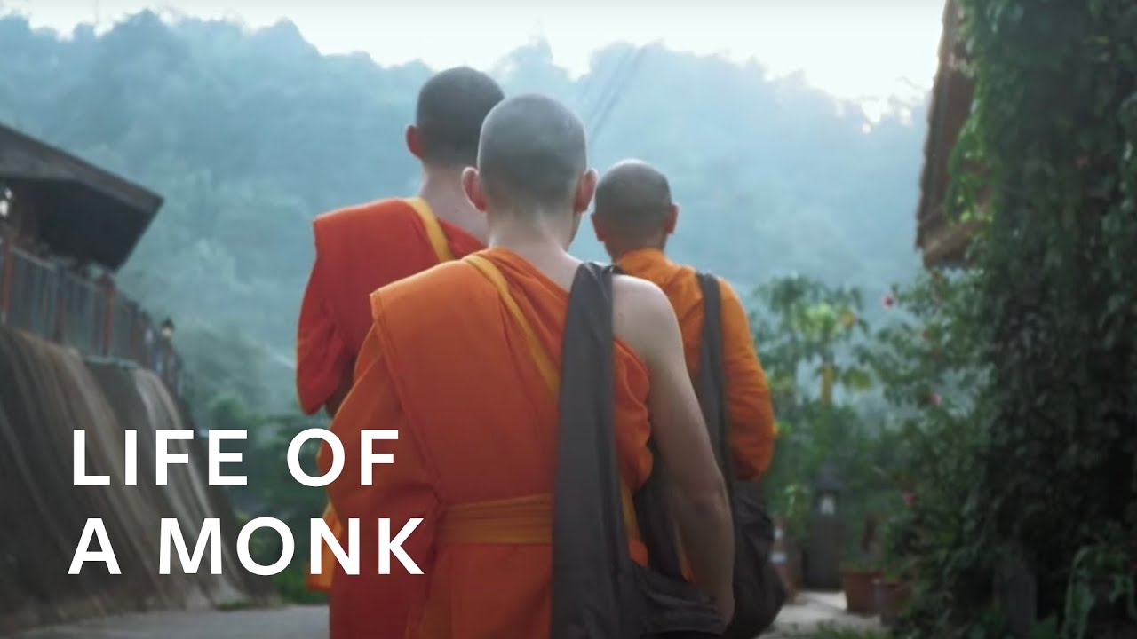 The Daily Alms Round Routine | Life of a Monk - YouTube
