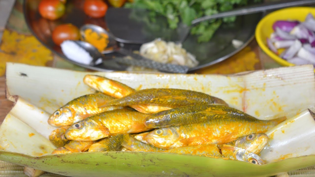 River Fish Traditional Village Cooking|| Bata Fish Traditional Cooking ...
