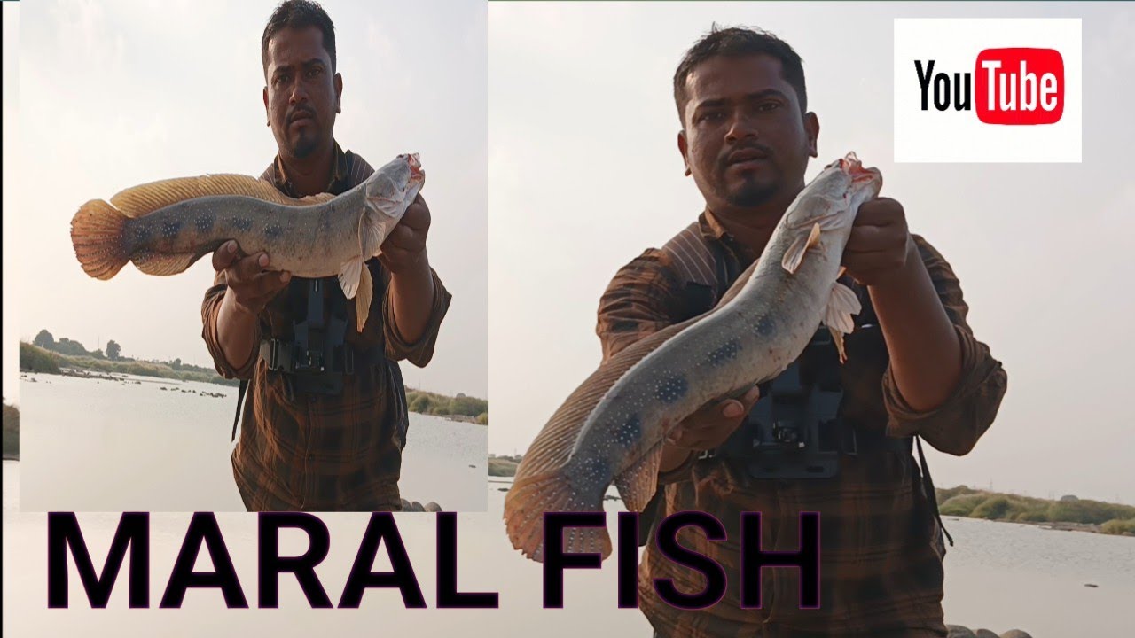 FOOL MARAL!!! FISHING - YouTube