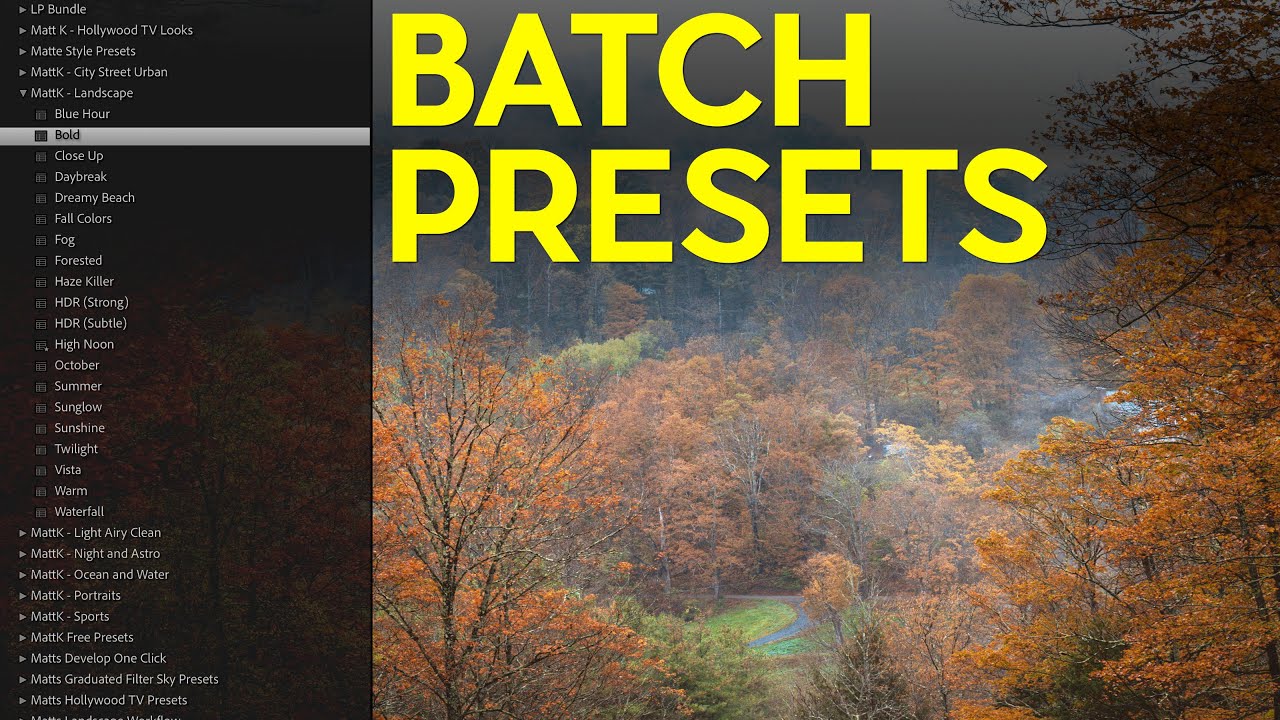 BATCH Apply Presets in Lightroom Classic - YouTube