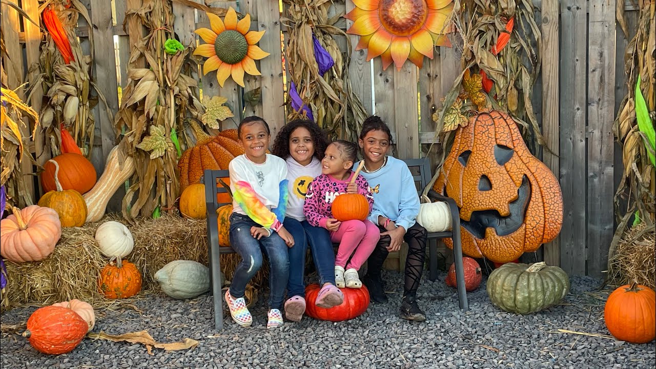 Our Day at Shady Brook Farm Pumpkin Patch - YouTube