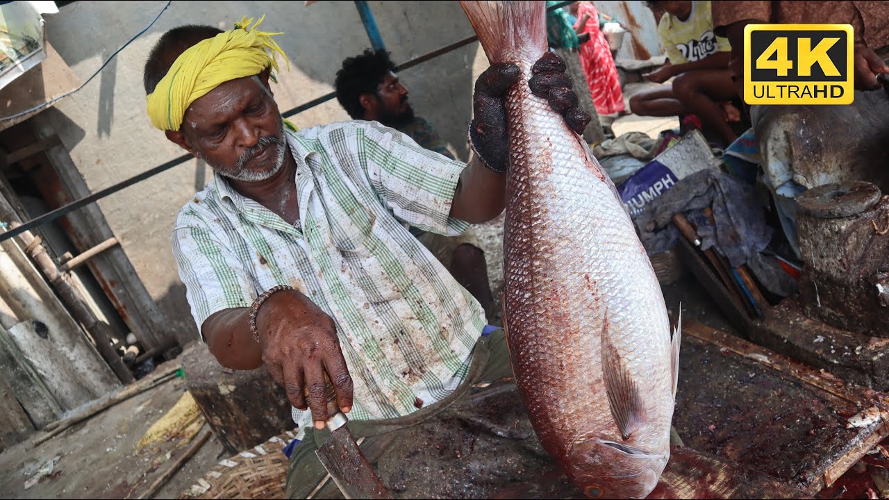 BIG SIZE PINK SNAPPER FISH CUTTING IN KASIMEDU | BIG FISH CUTTING - YouTube