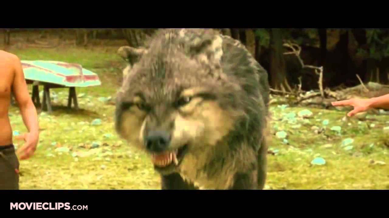 Twilight Saga Movie CLIP Jacob's Transformation 2009 HD - YouTube