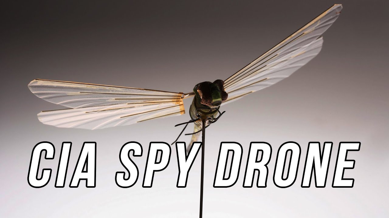 The Insectothopter: The CIA's Dragonfly Spy Drone from the 1970s - YouTube