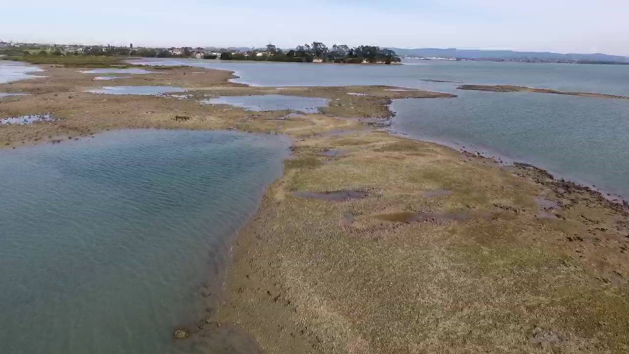 Meola Reef - YouTube