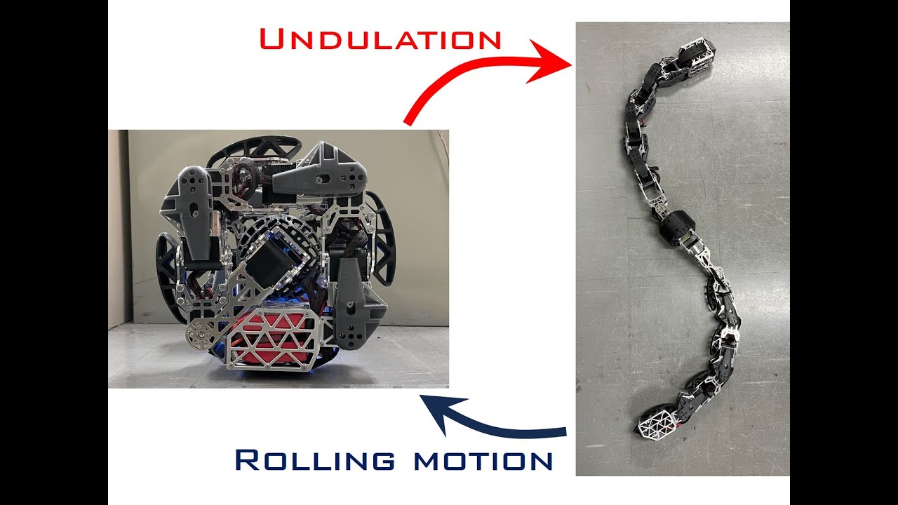 Transformer: snake robot - YouTube