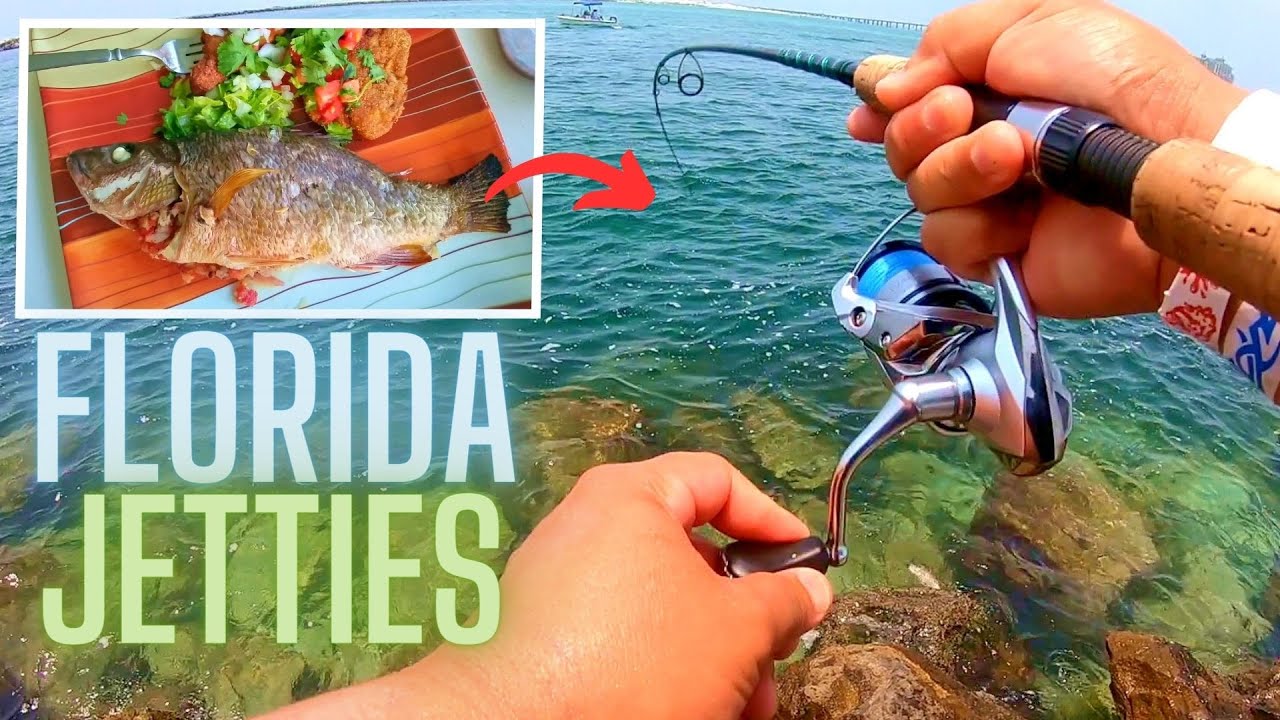 Catch and Cook MANGROVE SNAPPER!!! (Florida Jetty Fishing!) - YouTube