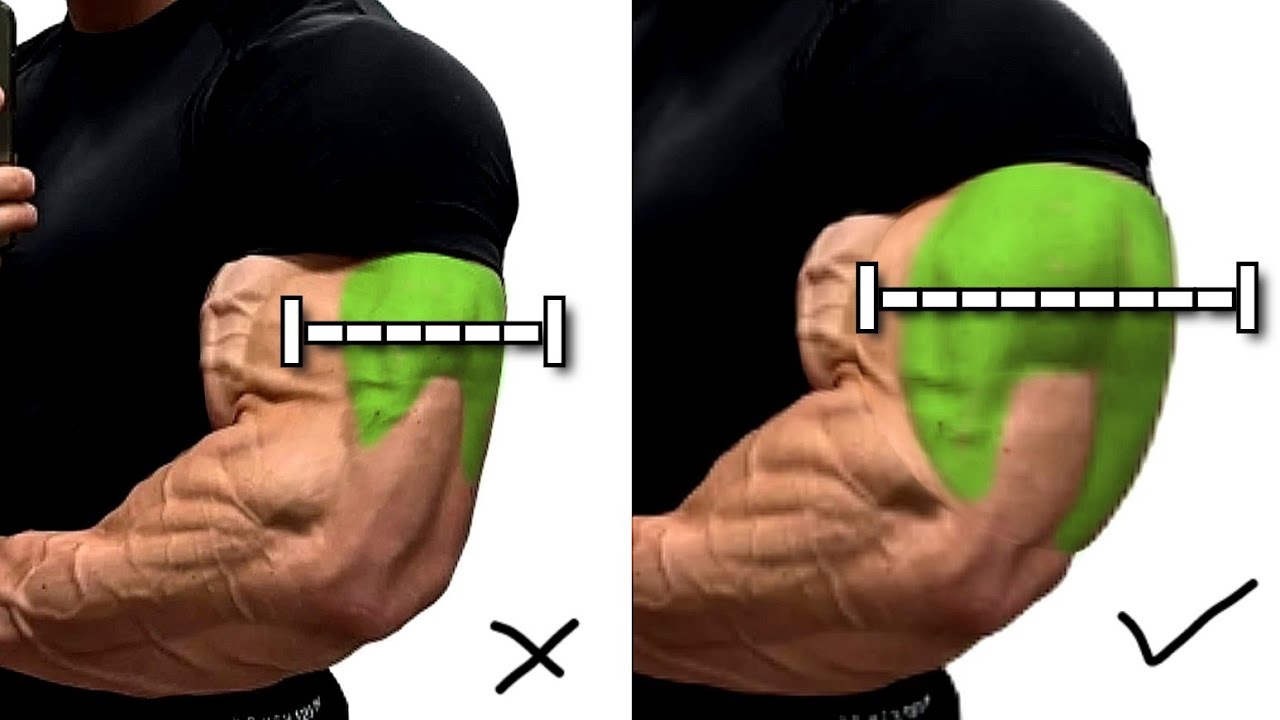 Effective Triceps Exercises Gym for Wider Bigger Tricep Growth - YouTube