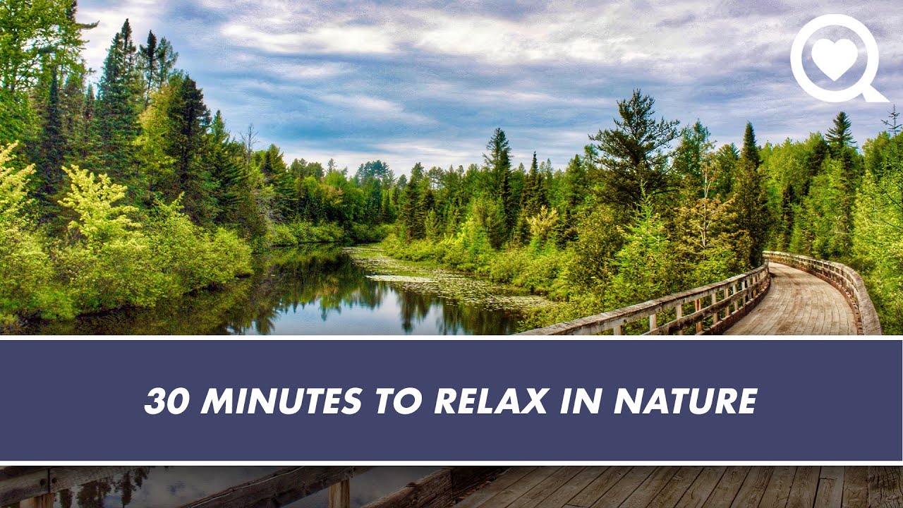30 Minutes to Relax in Nature | Relaxation | Sharecare - YouTube
