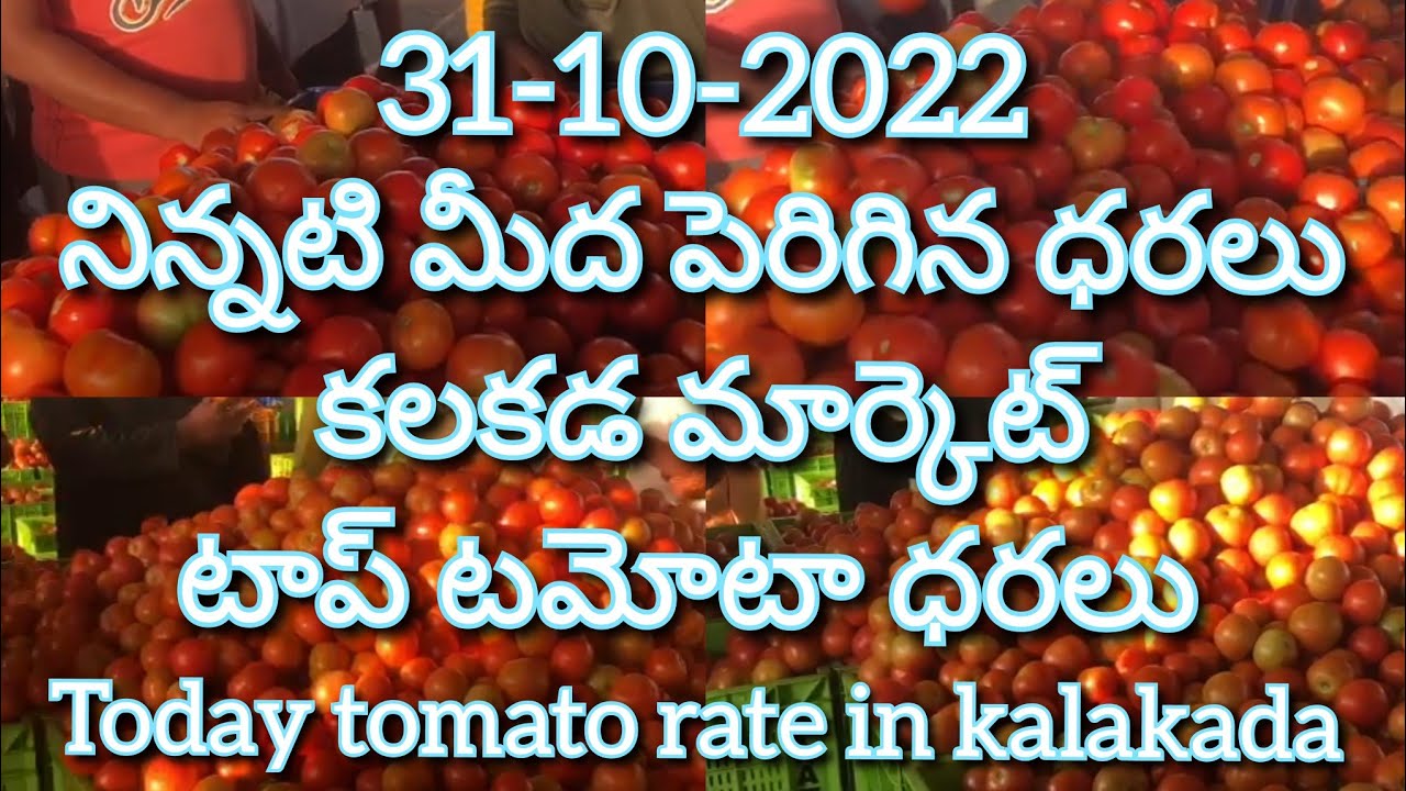 31-10-2022#today tomato rate in kalakada market #kalakada tomato market ...